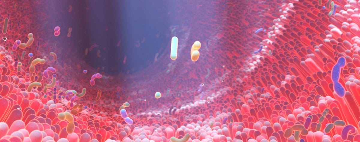 Syntol for Immune Health - SENPA